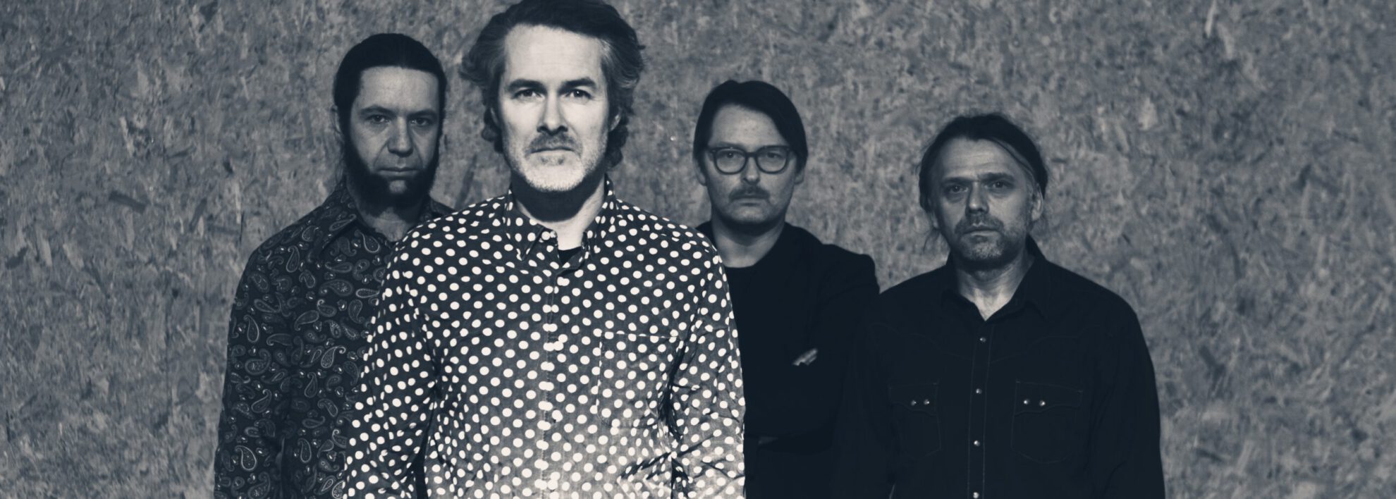 THE PINK MOON - NOISOLUTION